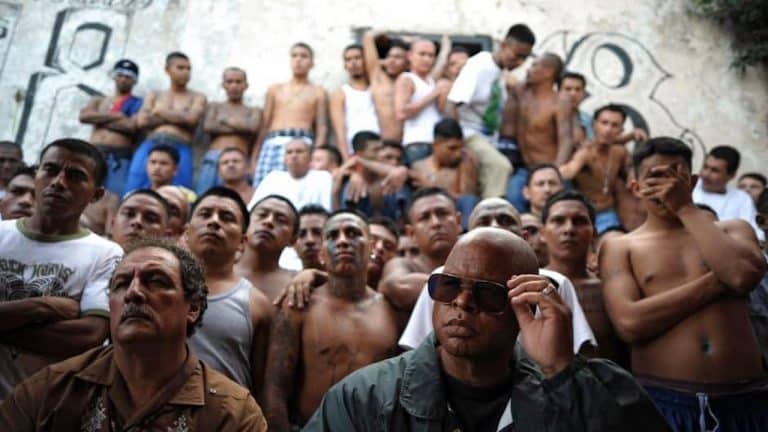 Crips and Bloods: Made in America (2008) | Watch Free Documentaries Online