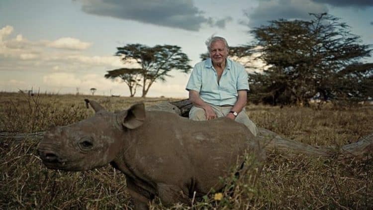 Nature documentaries | WatchDocumentaries.com