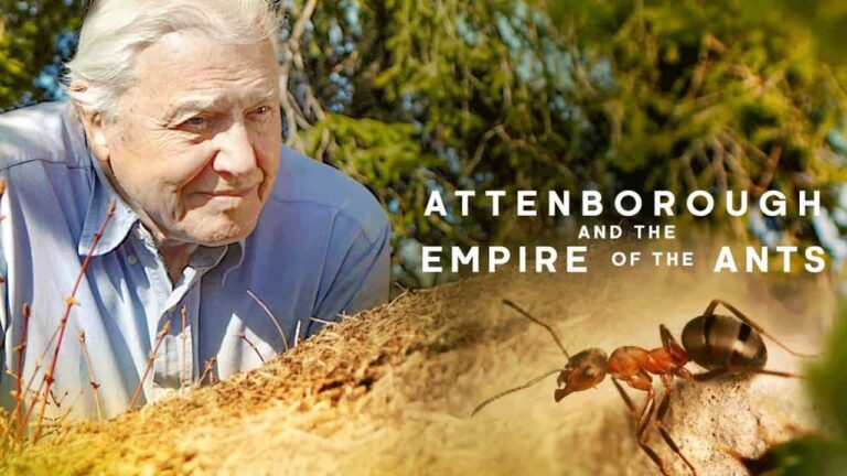 Nature documentaries | WatchDocumentaries.com