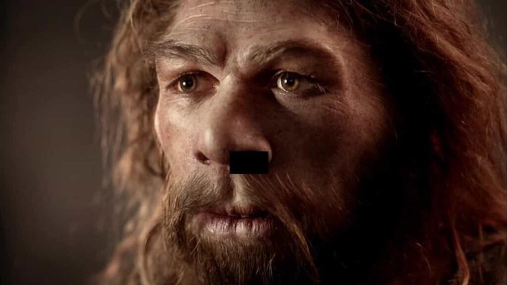 A History of Christianity (2009) | Watch Free Documentaries Online