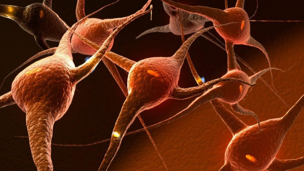 The Psychopath Next Door (2014) | Watch Free Documentaries Online