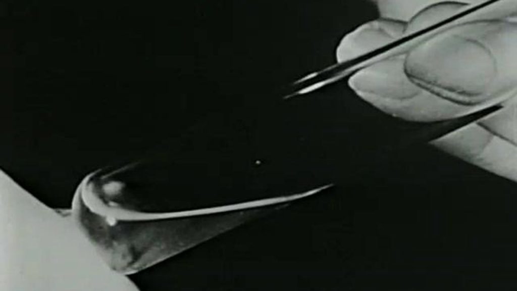 The Game Changers (2018) | Watch Free Documentaries Online